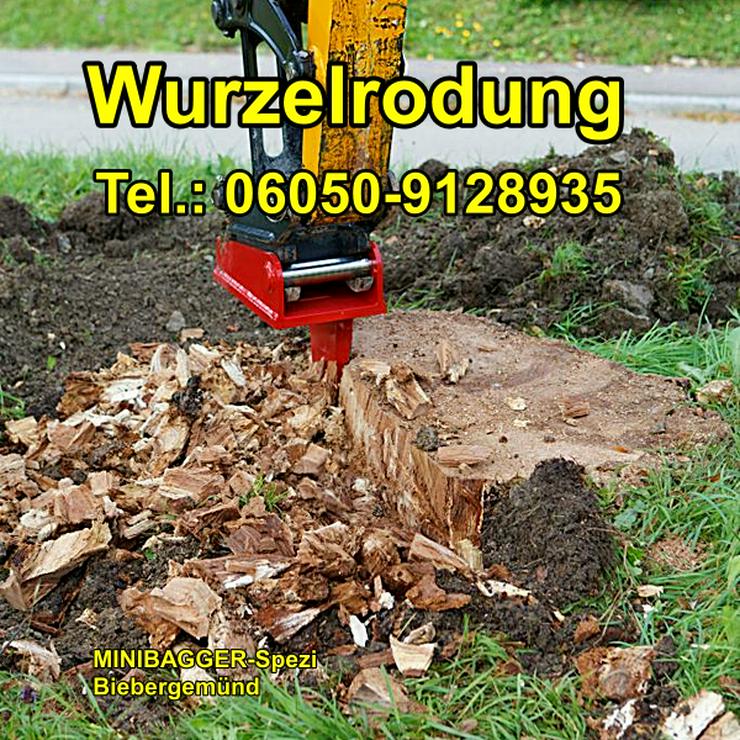 NEU !! Baumstumpf entfernen ohne Dreck, Staub und Lärm (1 cm = 1 Euro ...