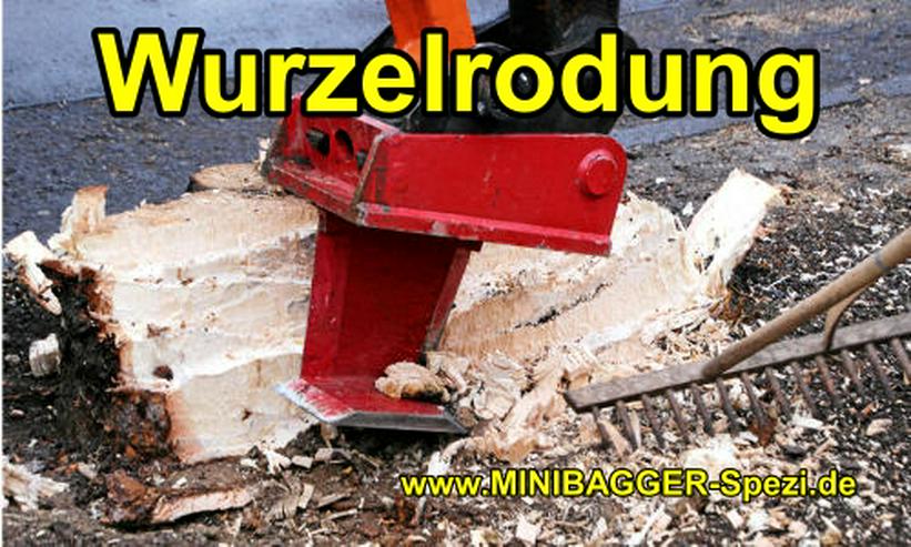 NEU !! Baumstumpf entfernen ohne Dreck, Staub und Lärm (1 cm = 1 Euro ...